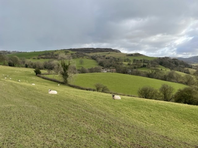 Countryside Stewardship 2023 | ELM Associates